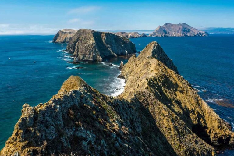 21 Amazing Things to do in California in June